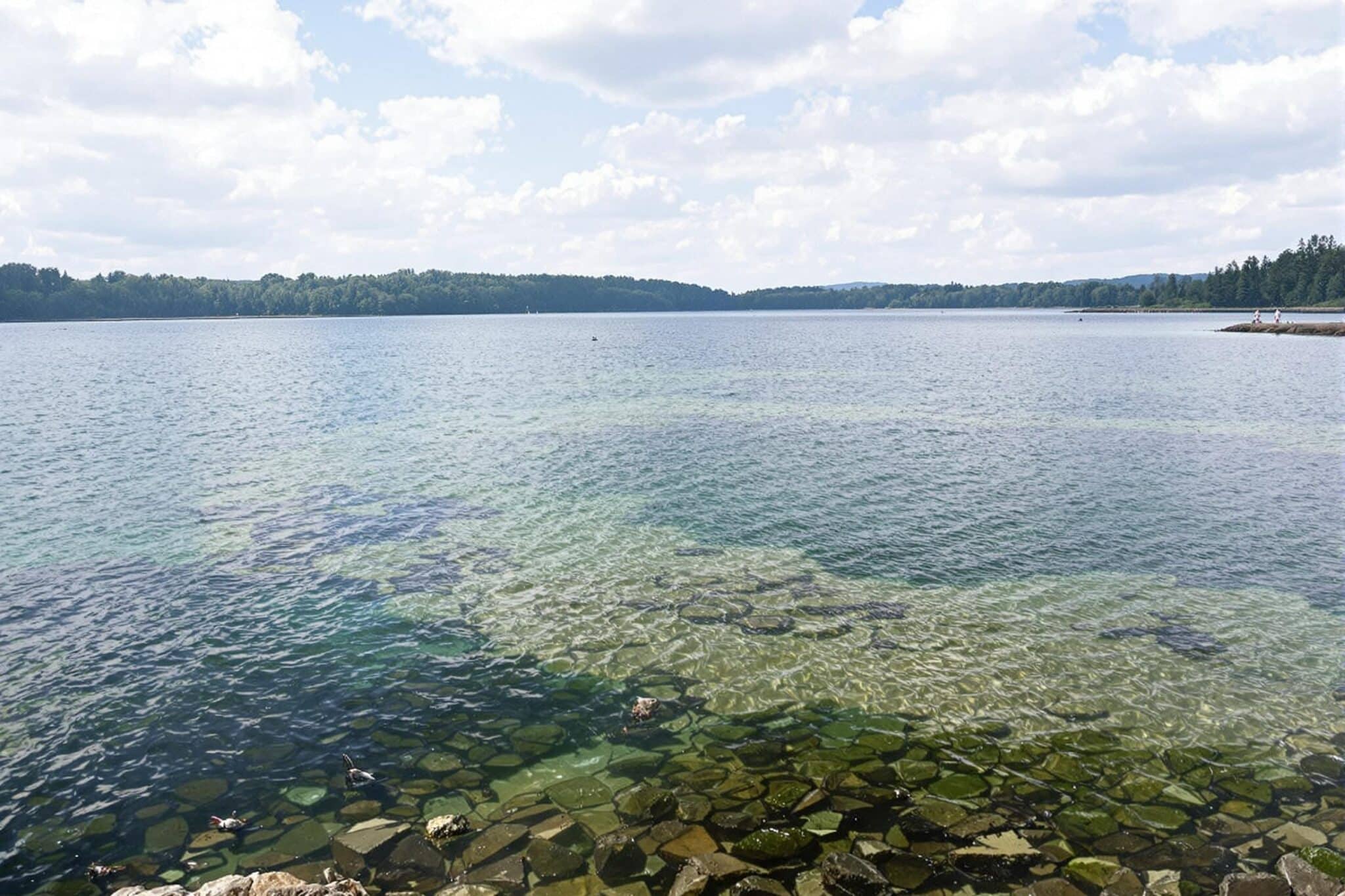 Grand Étang de St-Estèphe : Découvrez ce paradis naturel pour les ...